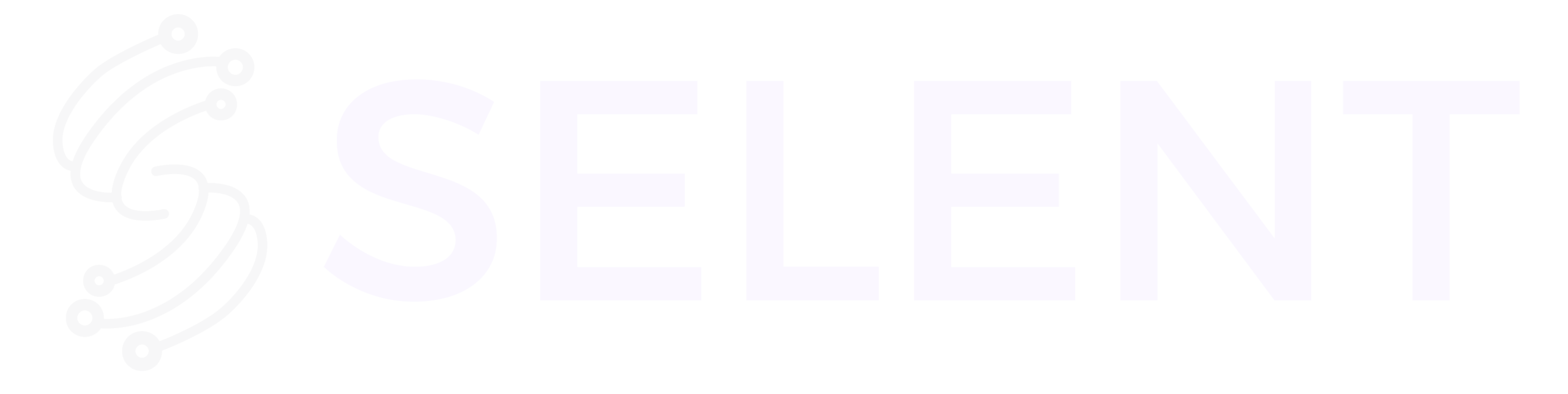 Selent - AI-Powered Network Operations Management for Cisco Meraki